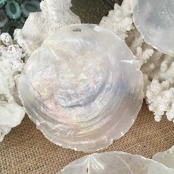 フィリピン発の民芸品、カピスとは？ | 本気イングリッシュ